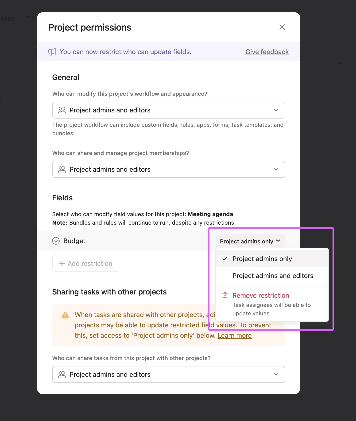 Restricted custom field values